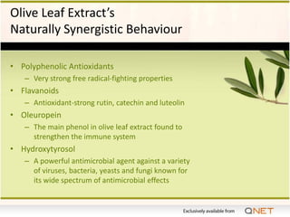 Ole Leaf Extract Presentation QNet | PDF