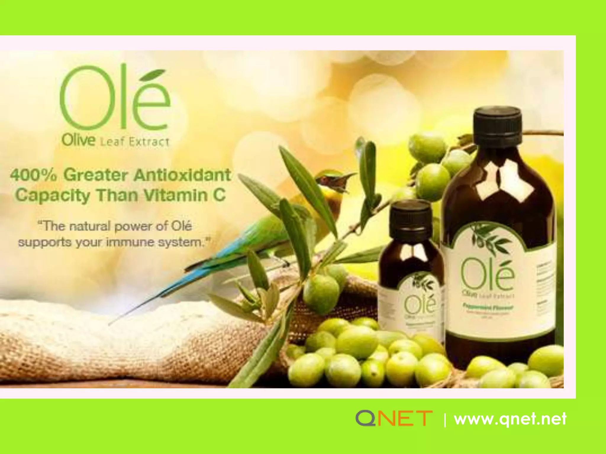11 Reasons to Take Ole Olive Leaf Extract by QNET | PPTX