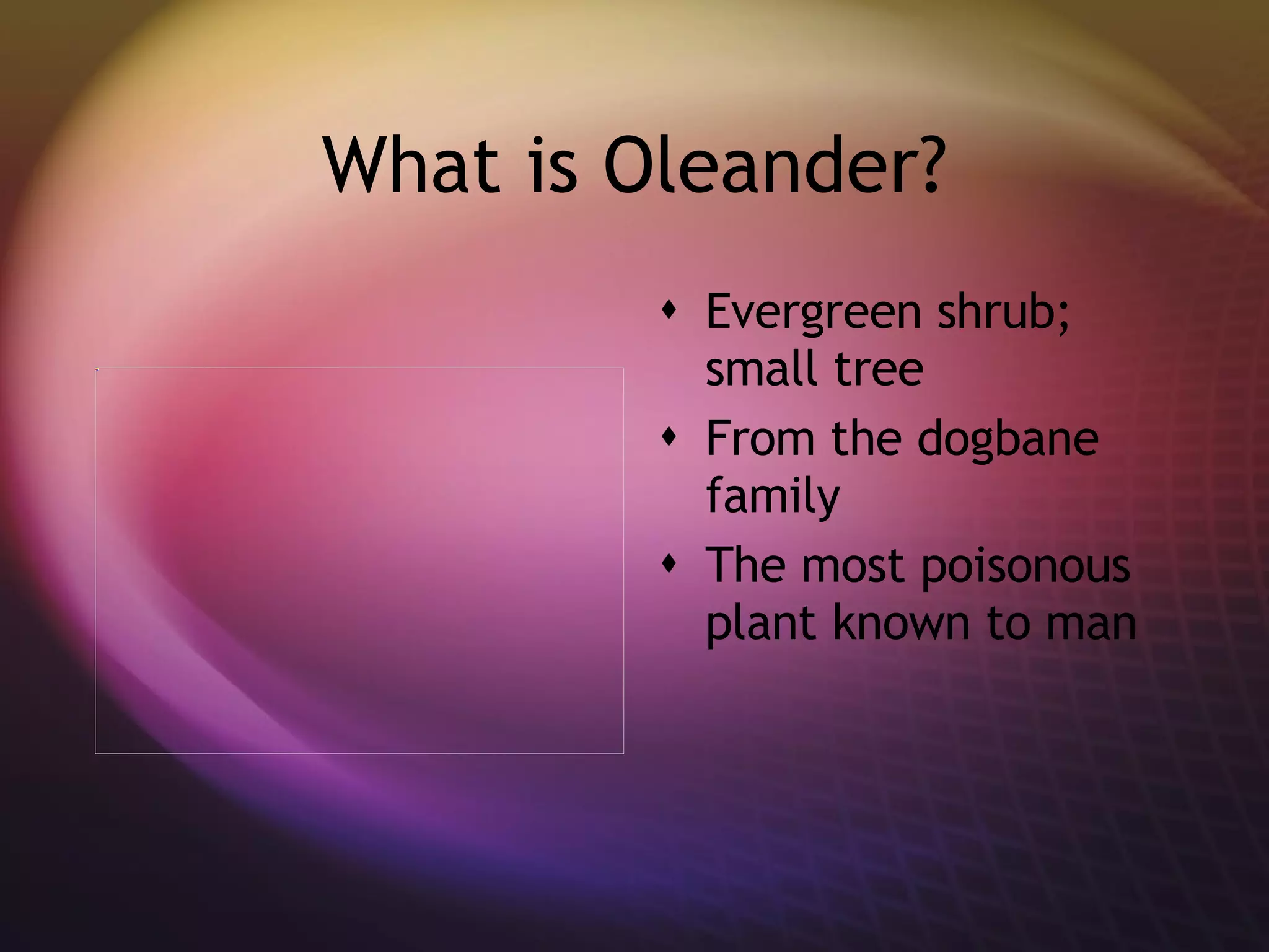 Oleander | PPT