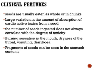 Oleander poisoning- clinical features & management of suicidal ...