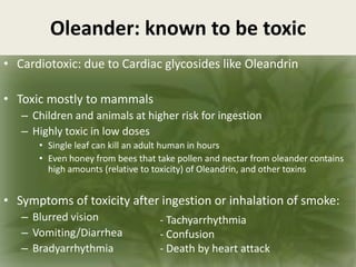 Oleandrin | PPTX