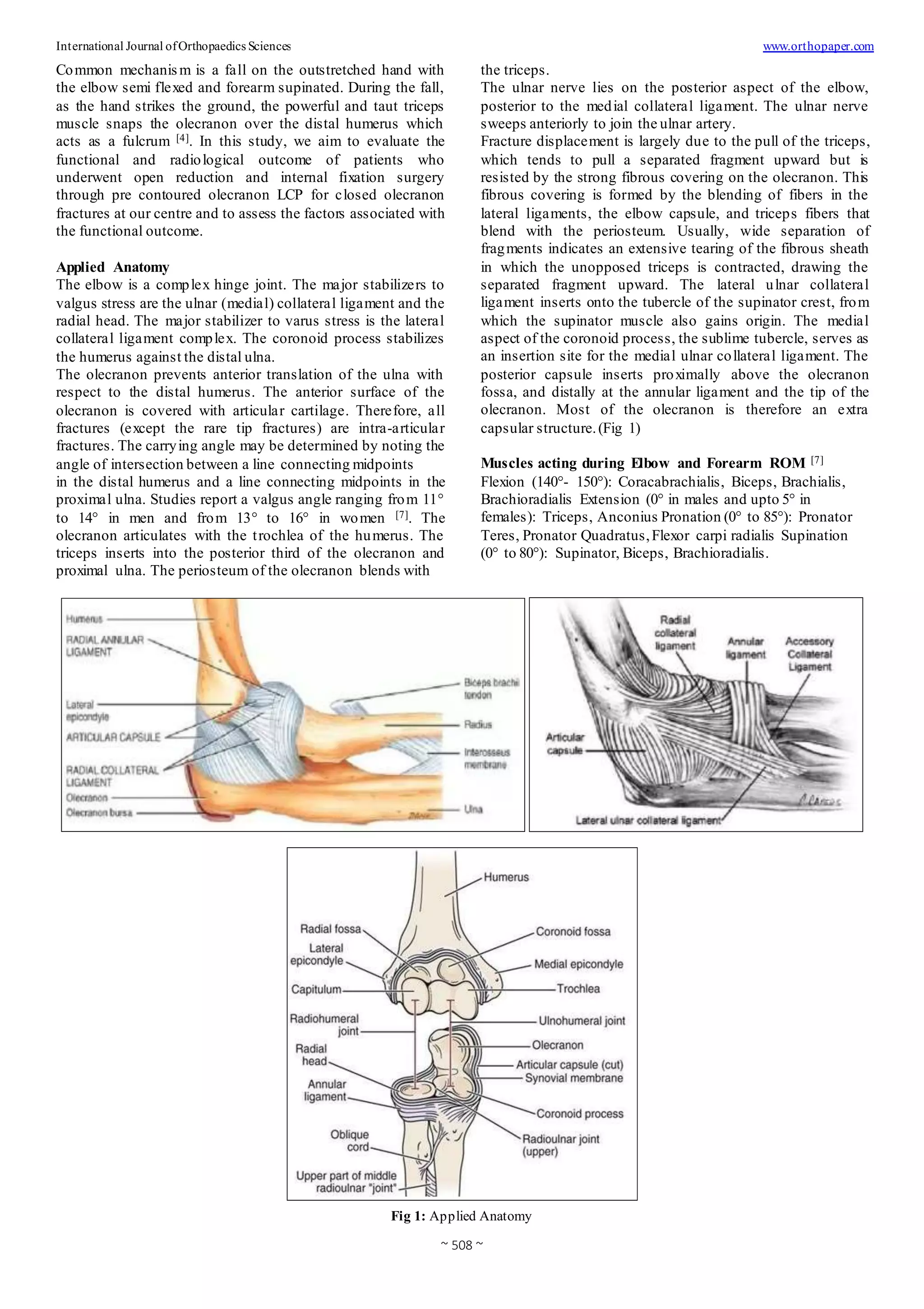 Elbow Joint - Olecranon fracture | DOCX