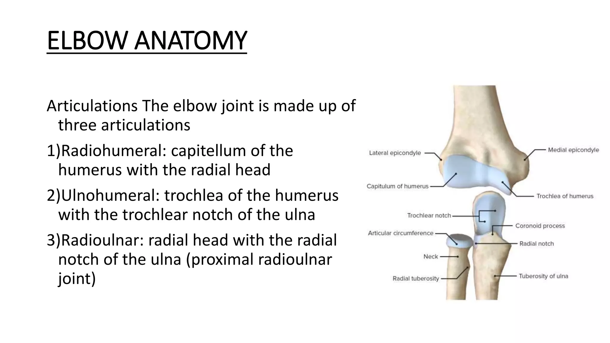 Olecronon and radial head fractures (1).pptx