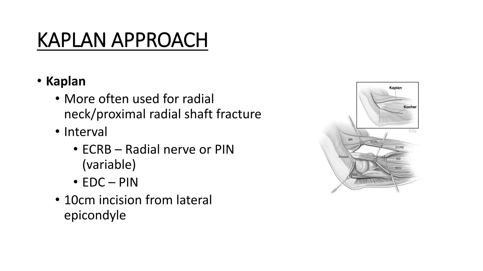 Olecronon and radial head fractures (1).pptx