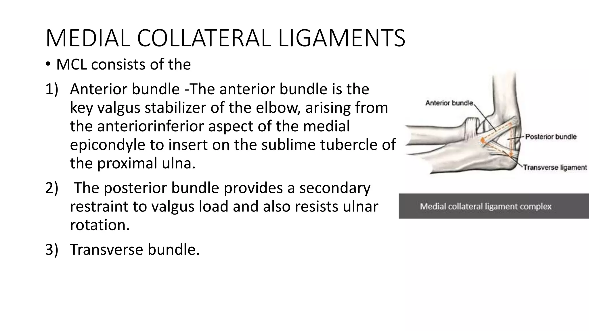 Olecronon and radial head fractures (1).pptx