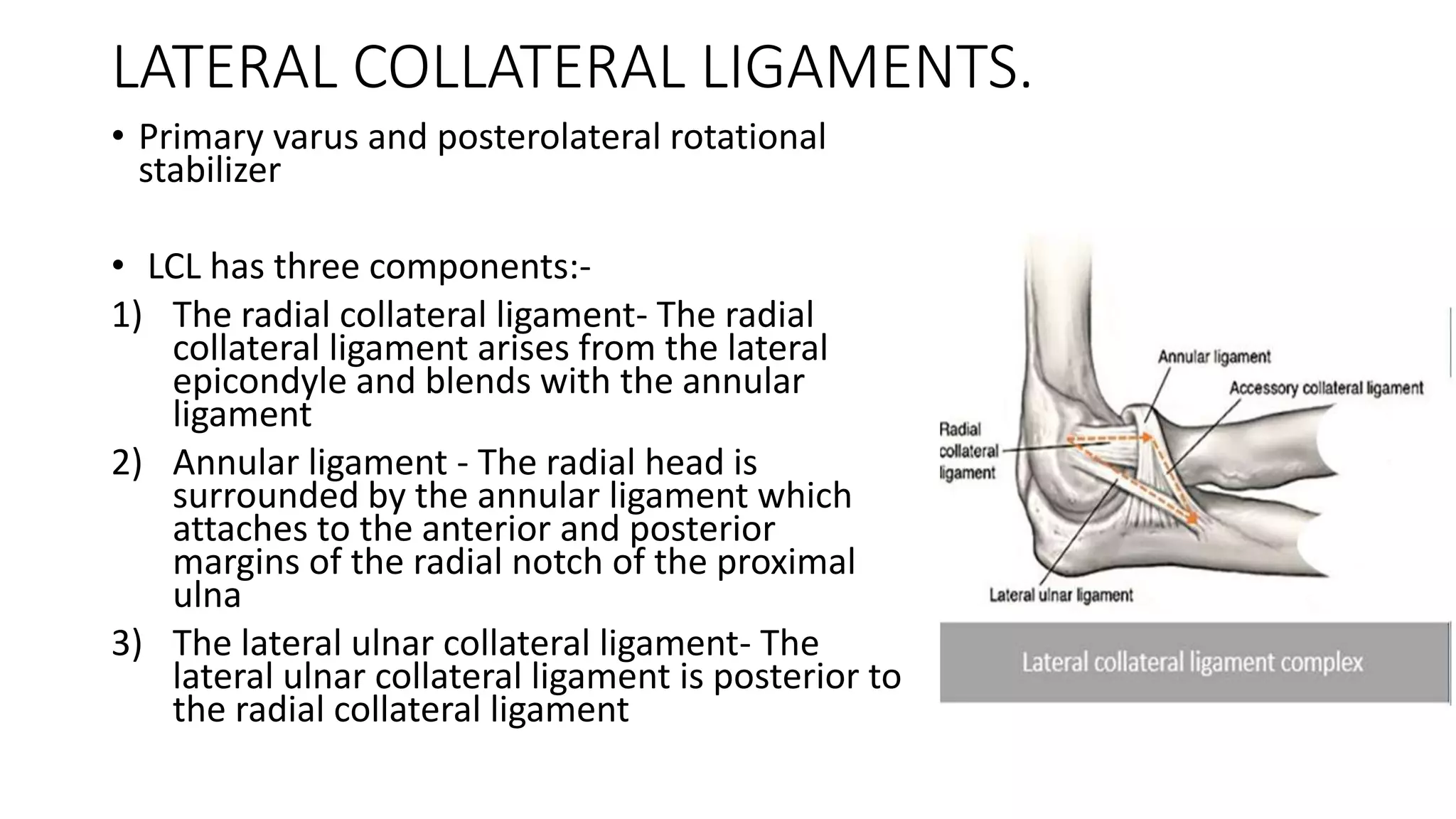 Olecronon and radial head fractures (1).pptx