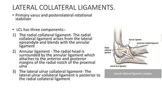 Olecronon and radial head fractures (1).pptx