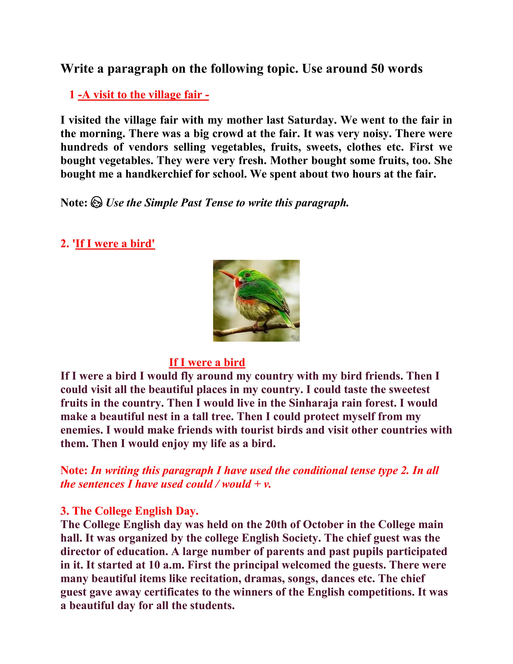 English - Sample Paragraphs for self learners | PDF
