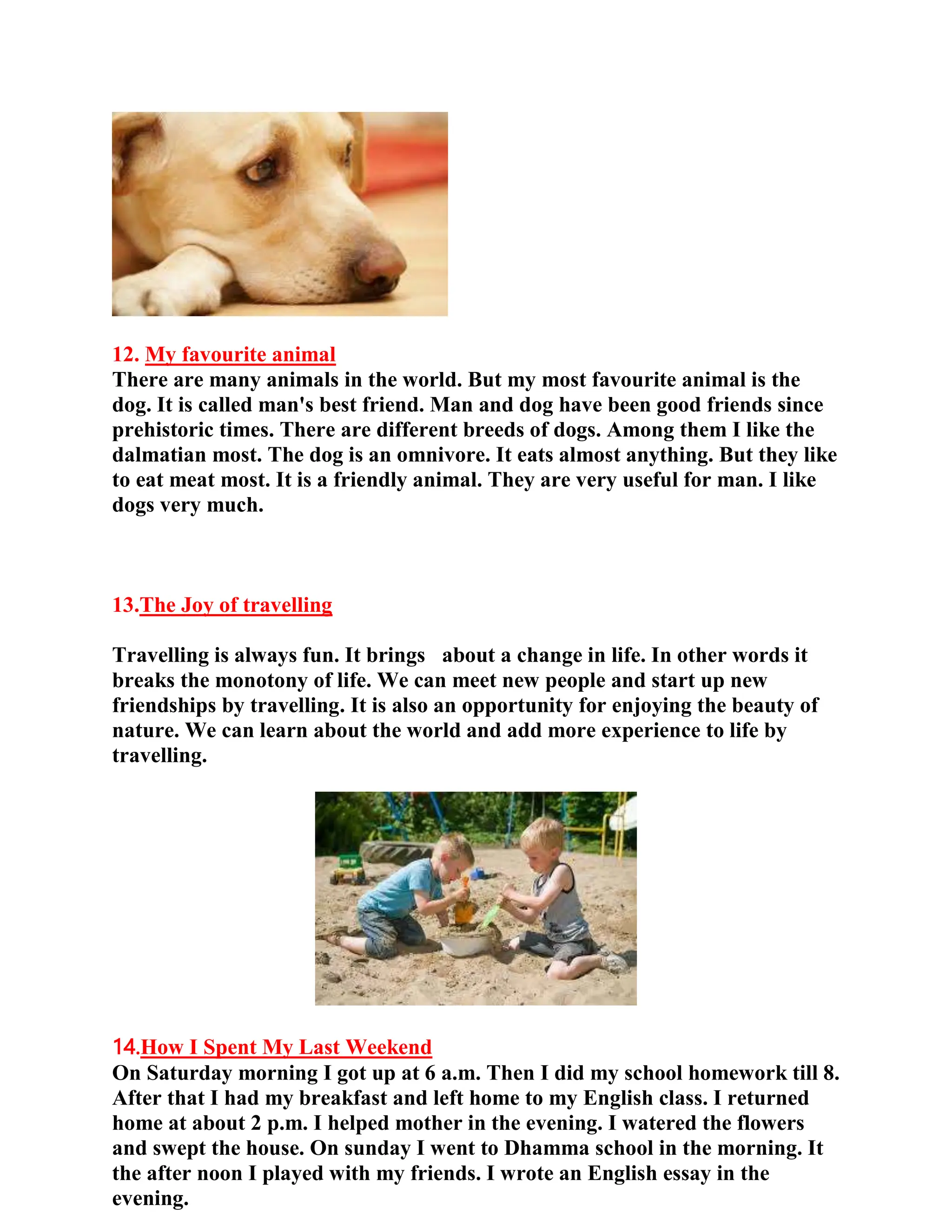 English - Sample Paragraphs for self learners | PDF