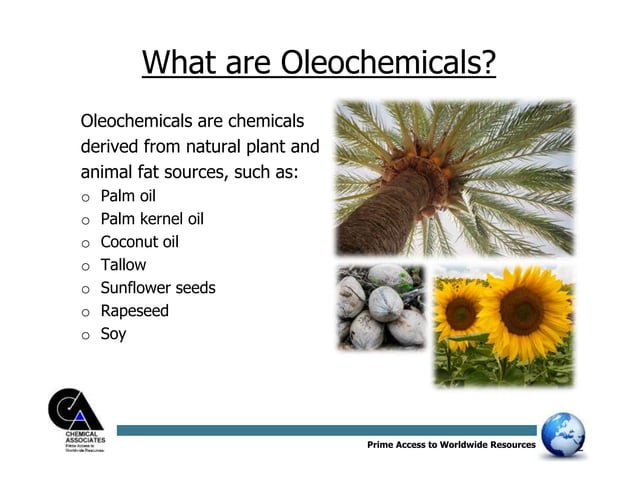 Oleochemicals chem assoc | PPT