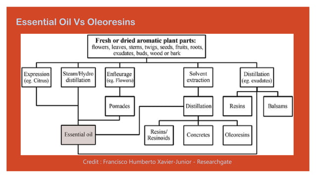 Oleoresins | PDF