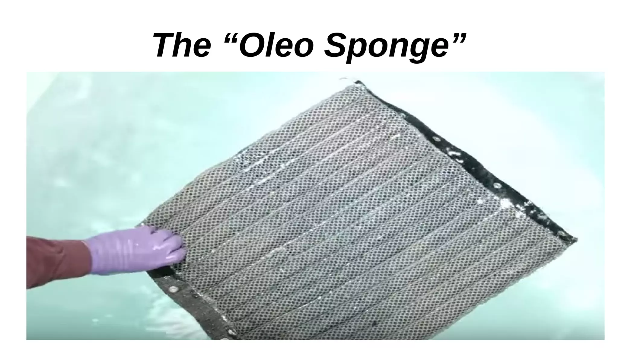 Oleo sponge presentation for Erasmus "met inside" | ODP