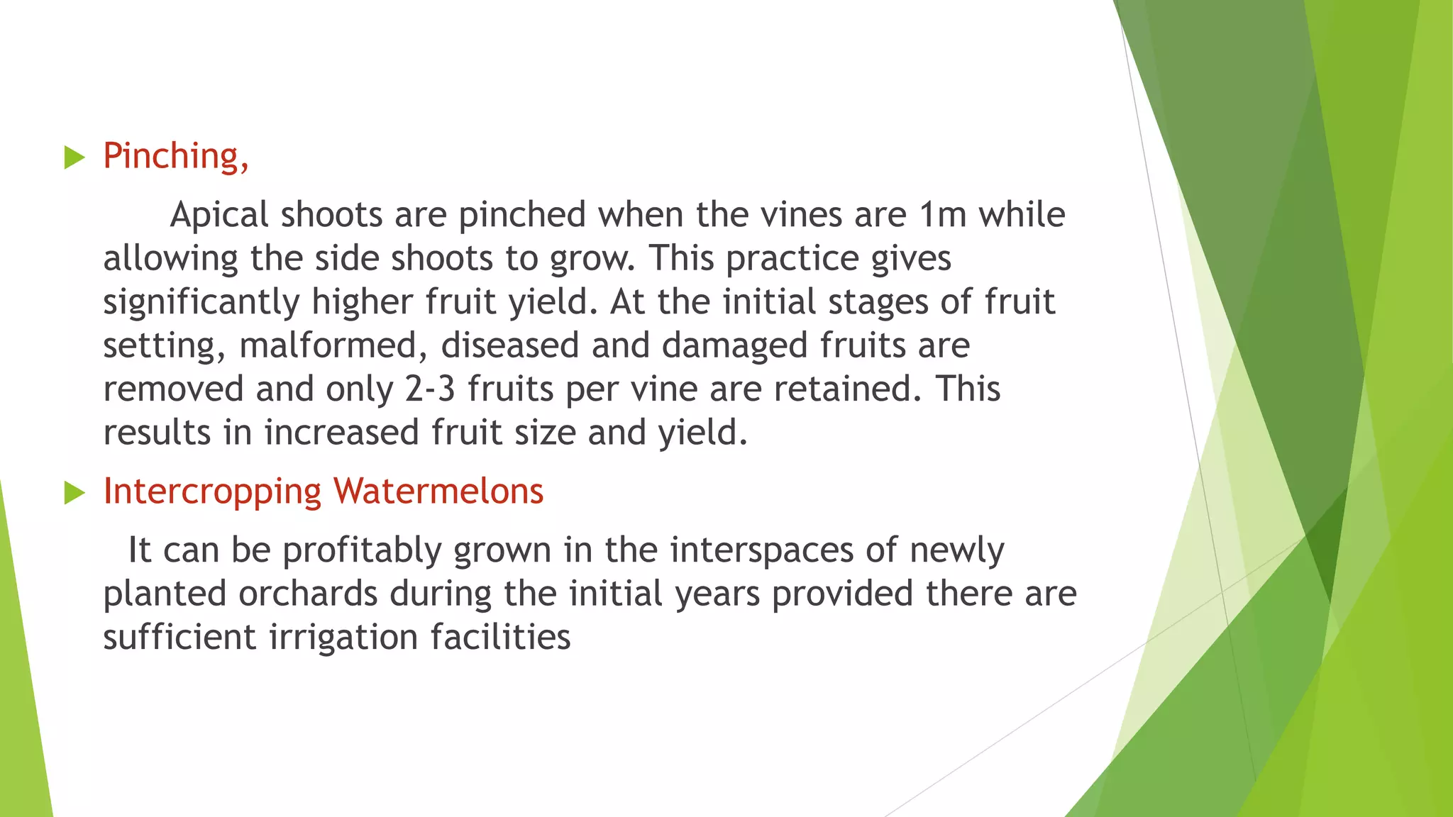 ORGANIC CULTIVATION PRACTICES OF WATERMELON,MUSKMELON, BITTER GOURD AND ...