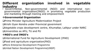 present status of vegetable production and different organization ...