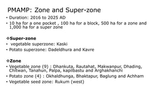 present status of vegetable production and different organization ...