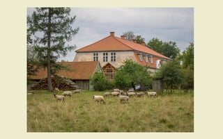 Oleru muiža. Ieva Zemīte | PDF