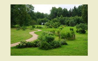 Oleru muiža. Ieva Zemīte | PDF