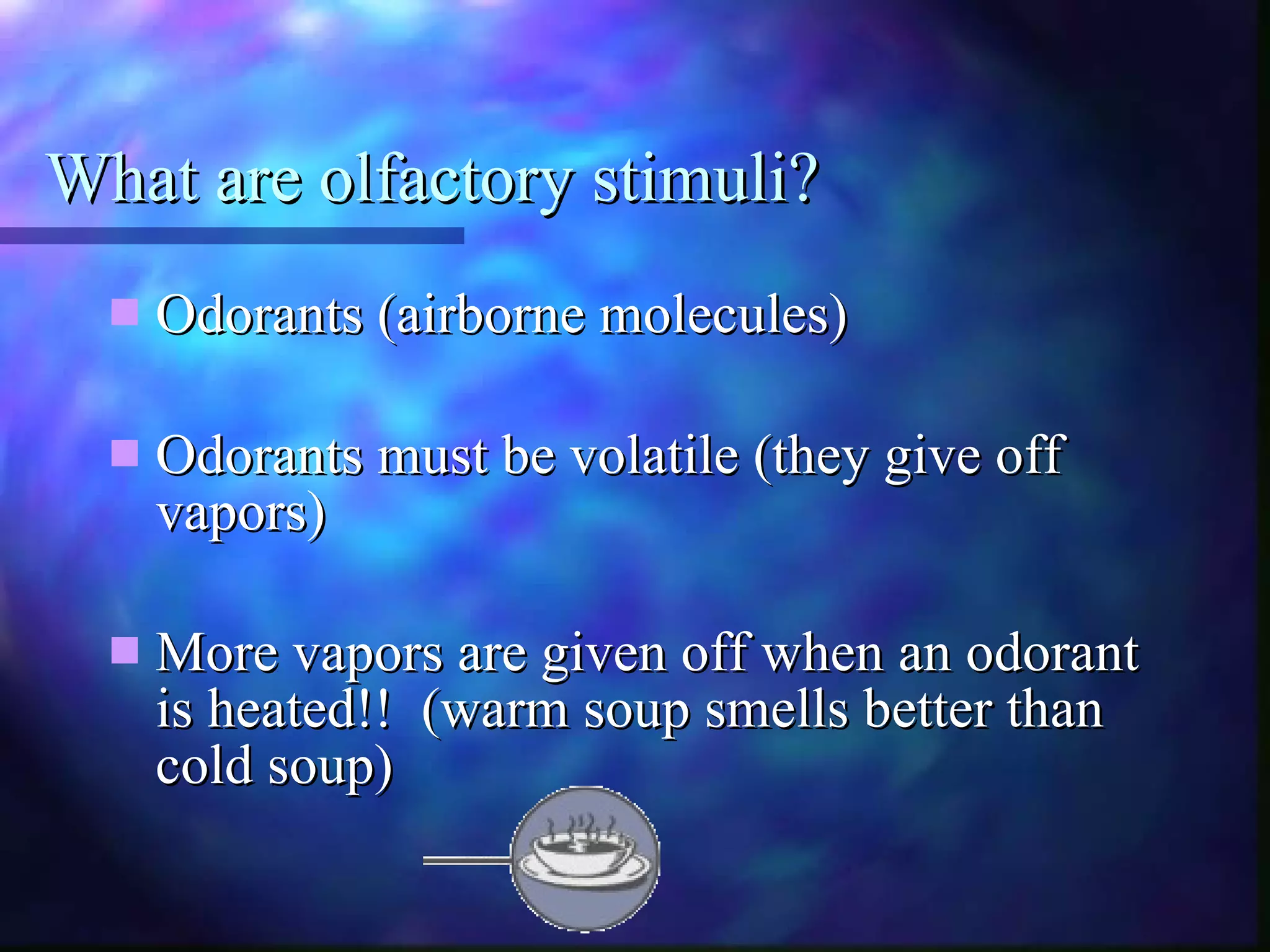Olfaction | PPT