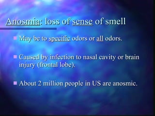 Olfaction | PPT