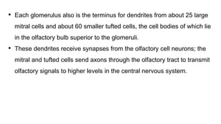 Olfaction.pptx