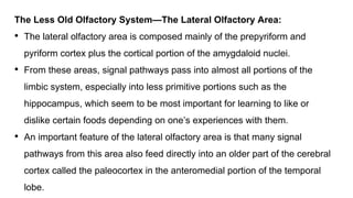 Olfaction.pptx