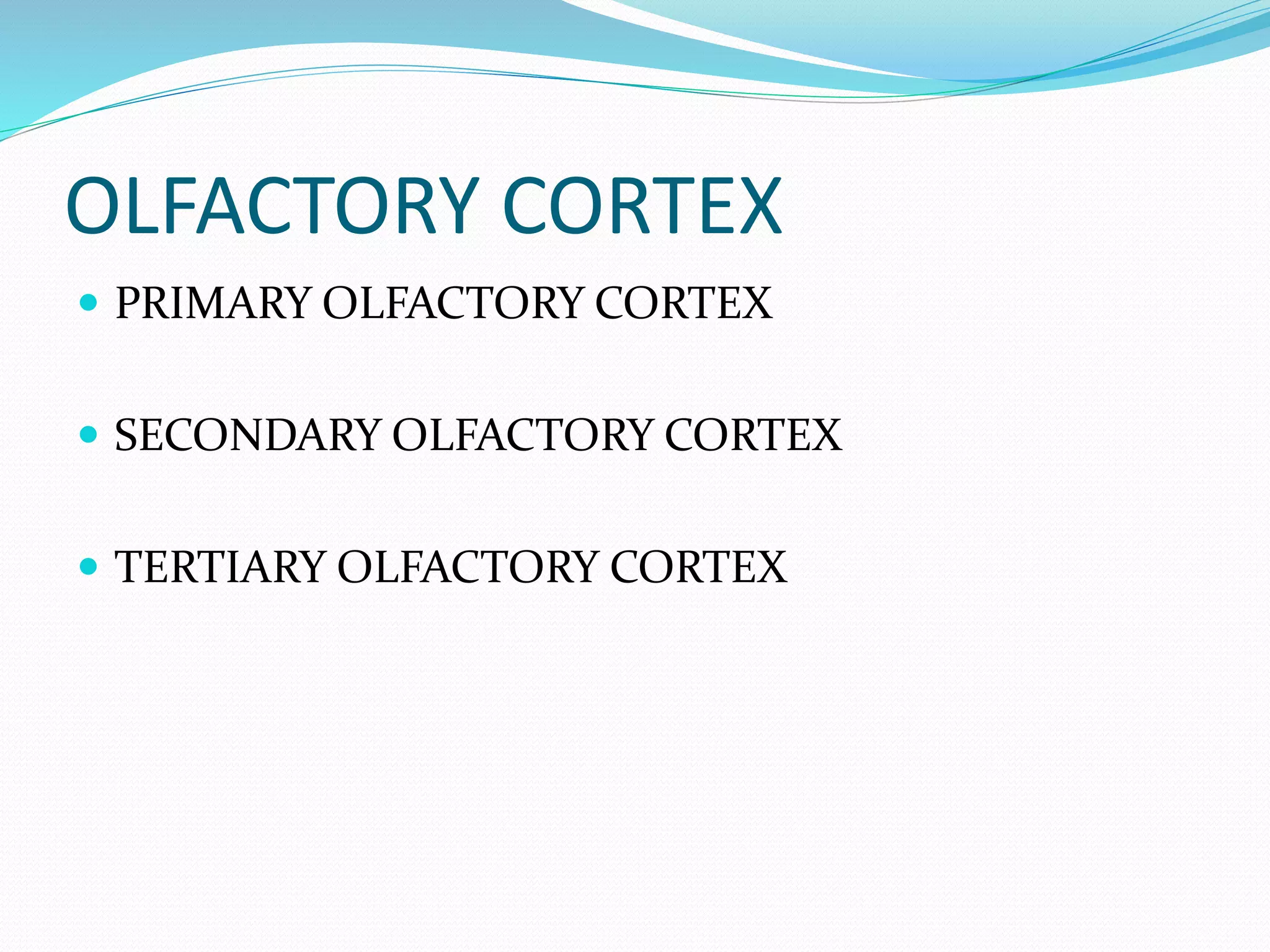 Olfaction and pathway | PPTX