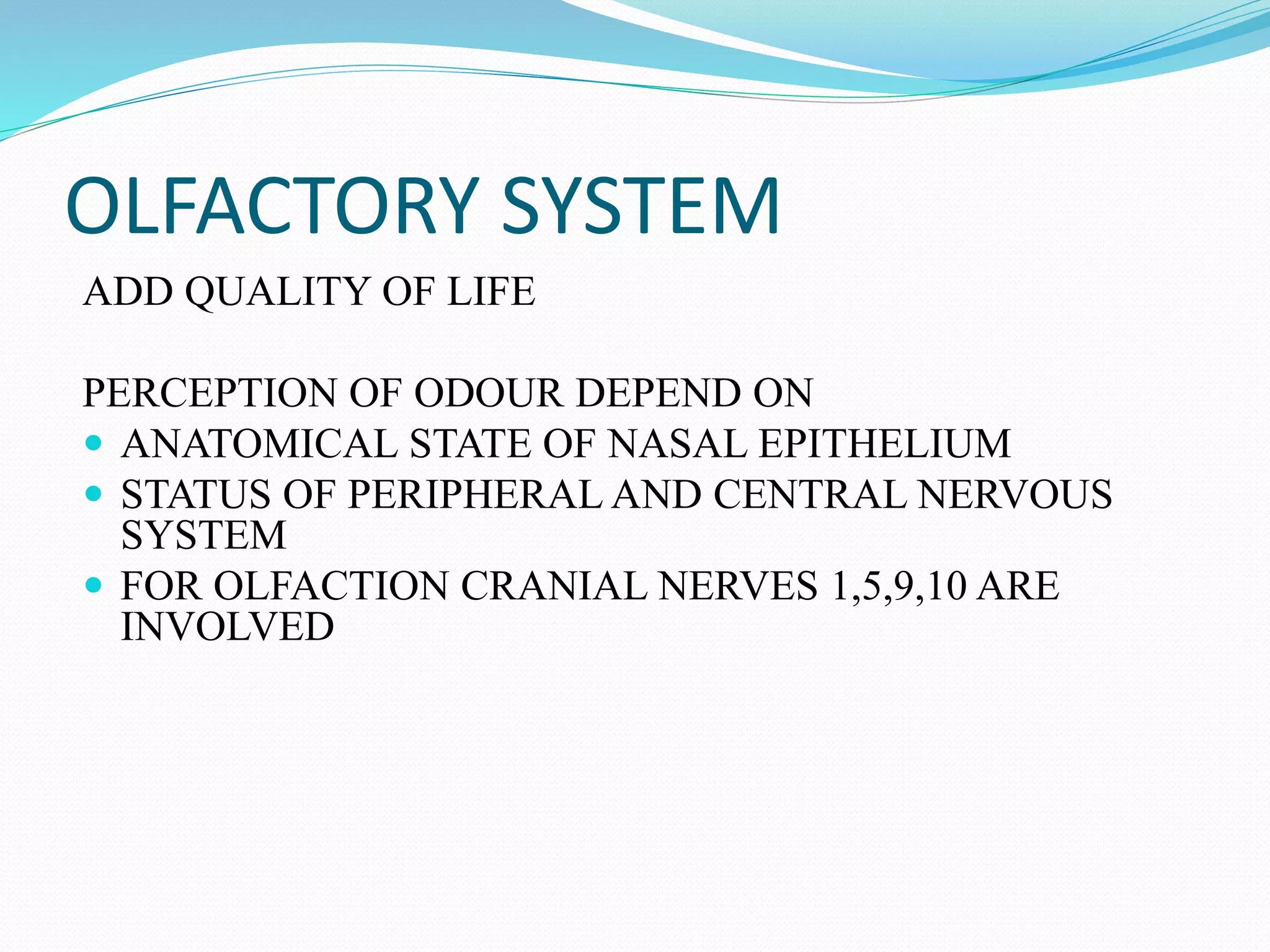 Olfaction and pathway | PPTX