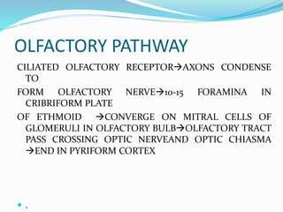 Olfaction and pathway | PPTX
