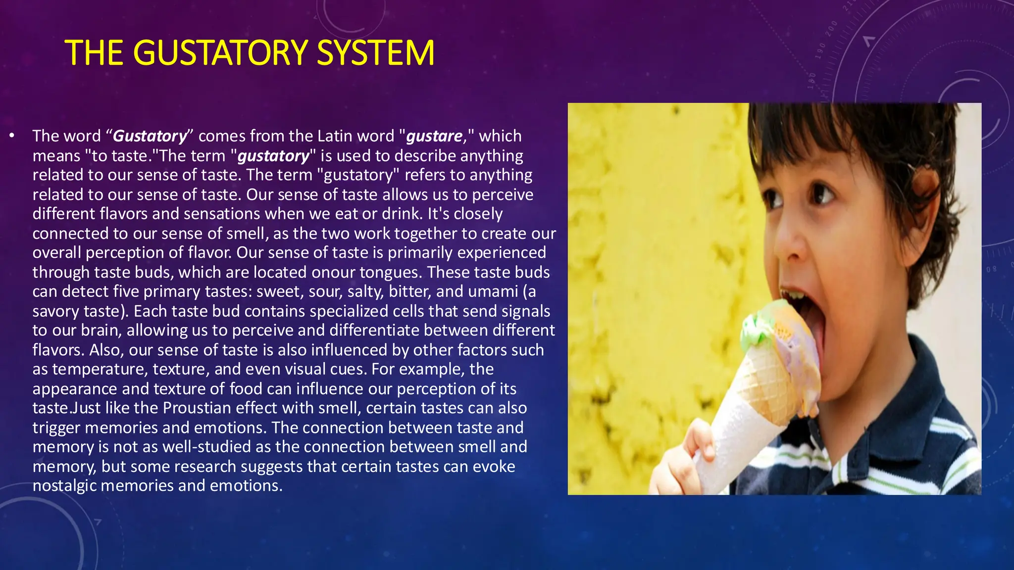 Human Physiology: Olfactory and gustatory | PDF
