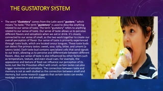 Human Physiology: Olfactory and gustatory | PDF