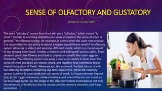 Human Physiology: Olfactory and gustatory | PDF