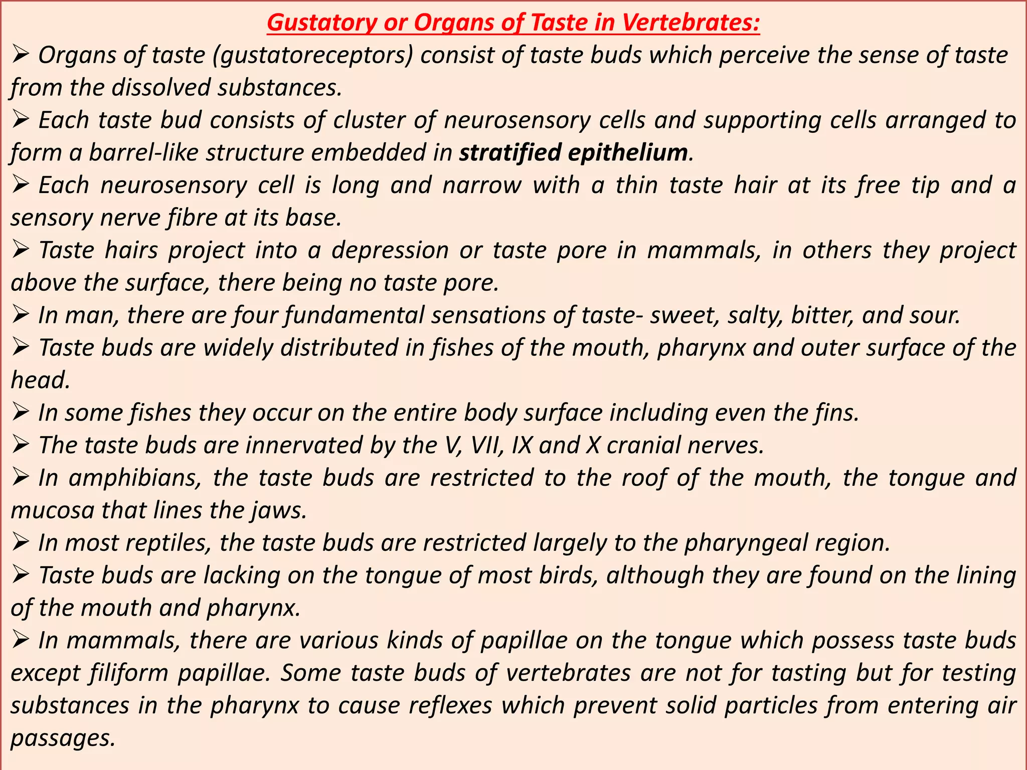 Olfactory and gustatory receptors | PPTX