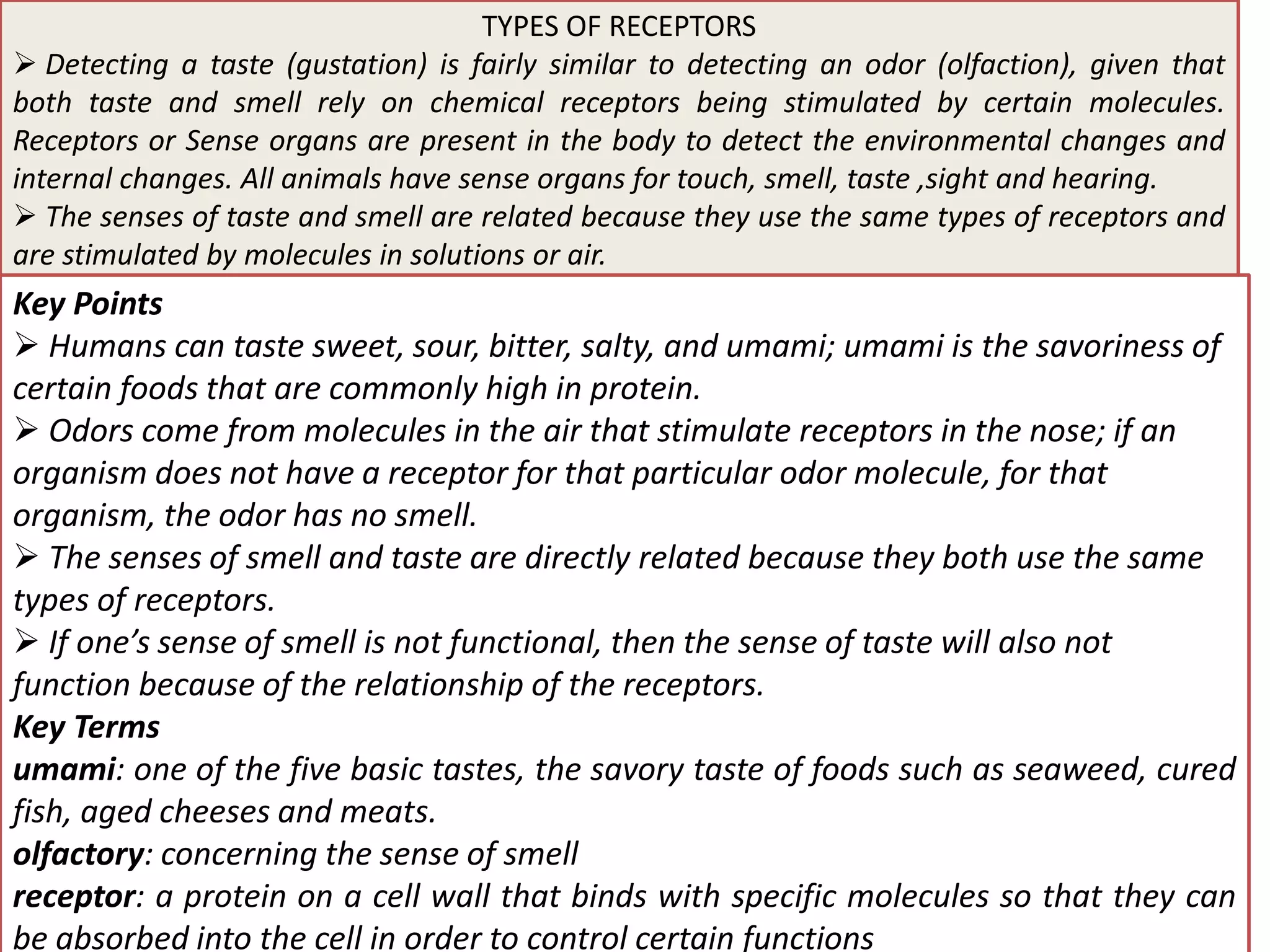 Olfactory and gustatory receptors | PPTX