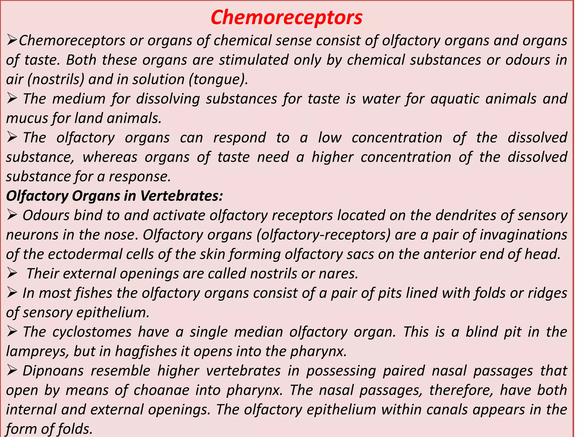 Olfactory and gustatory receptors | PPTX