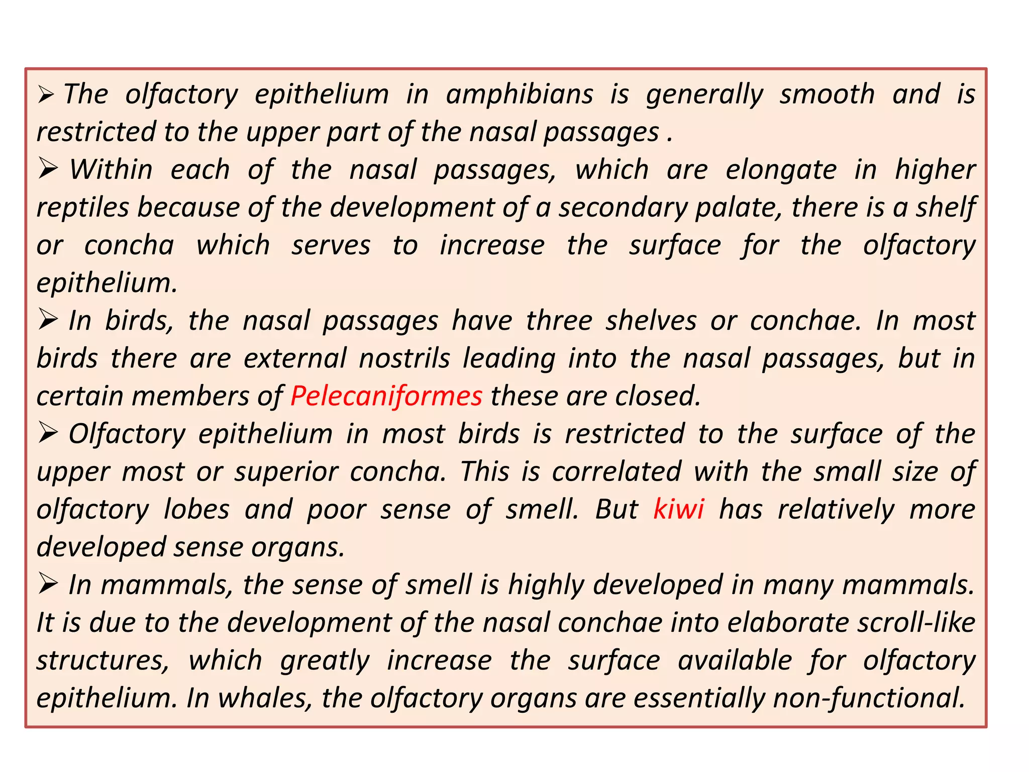 Olfactory and gustatory receptors | PPTX