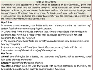 Olfactory and gustatory receptors | PPTX