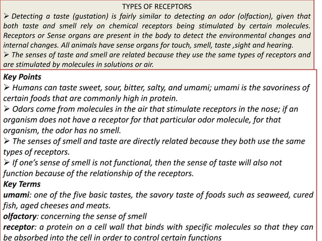 Olfactory and gustatory receptors | PPTX
