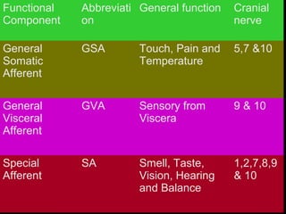 Olfactory and optic nerve | PPT