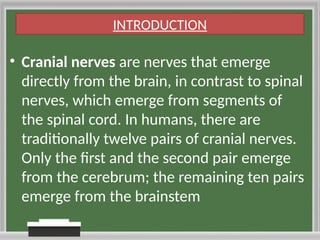 Olfactory nervessss PowerPoint presentation | PPTX