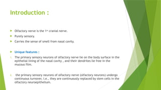 Olfactory nerve pathway presentation .pptx