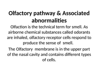 Olfactory pathway & Associated abnormalities.pptx