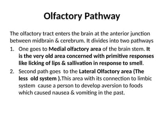 Olfactory pathway & Associated abnormalities.pptx