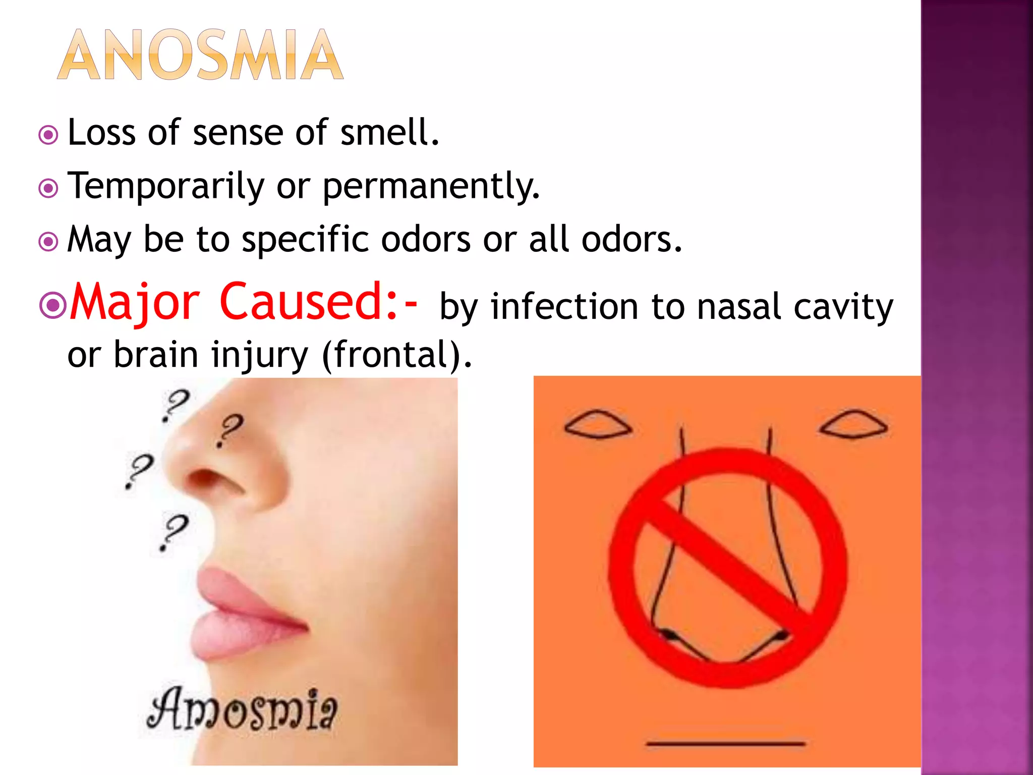 Olfactory system and functioning in human | PPTX