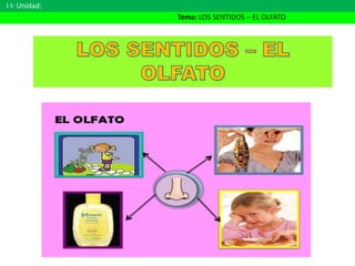 Olfato | PPT