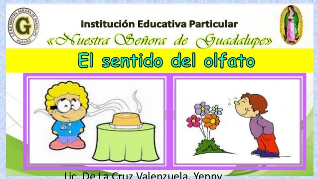 Olfato