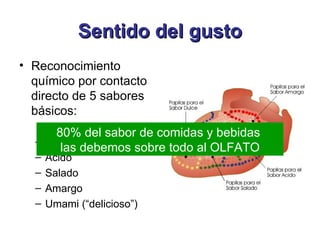 Olfato y aromas | PPT
