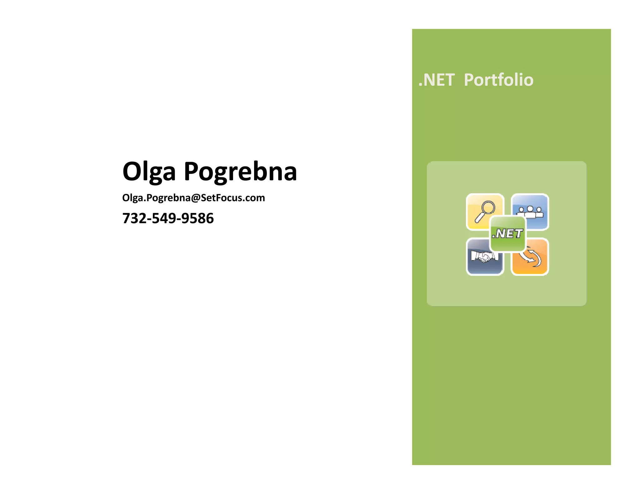Olga Pogrebna Net Portfolio | PDF