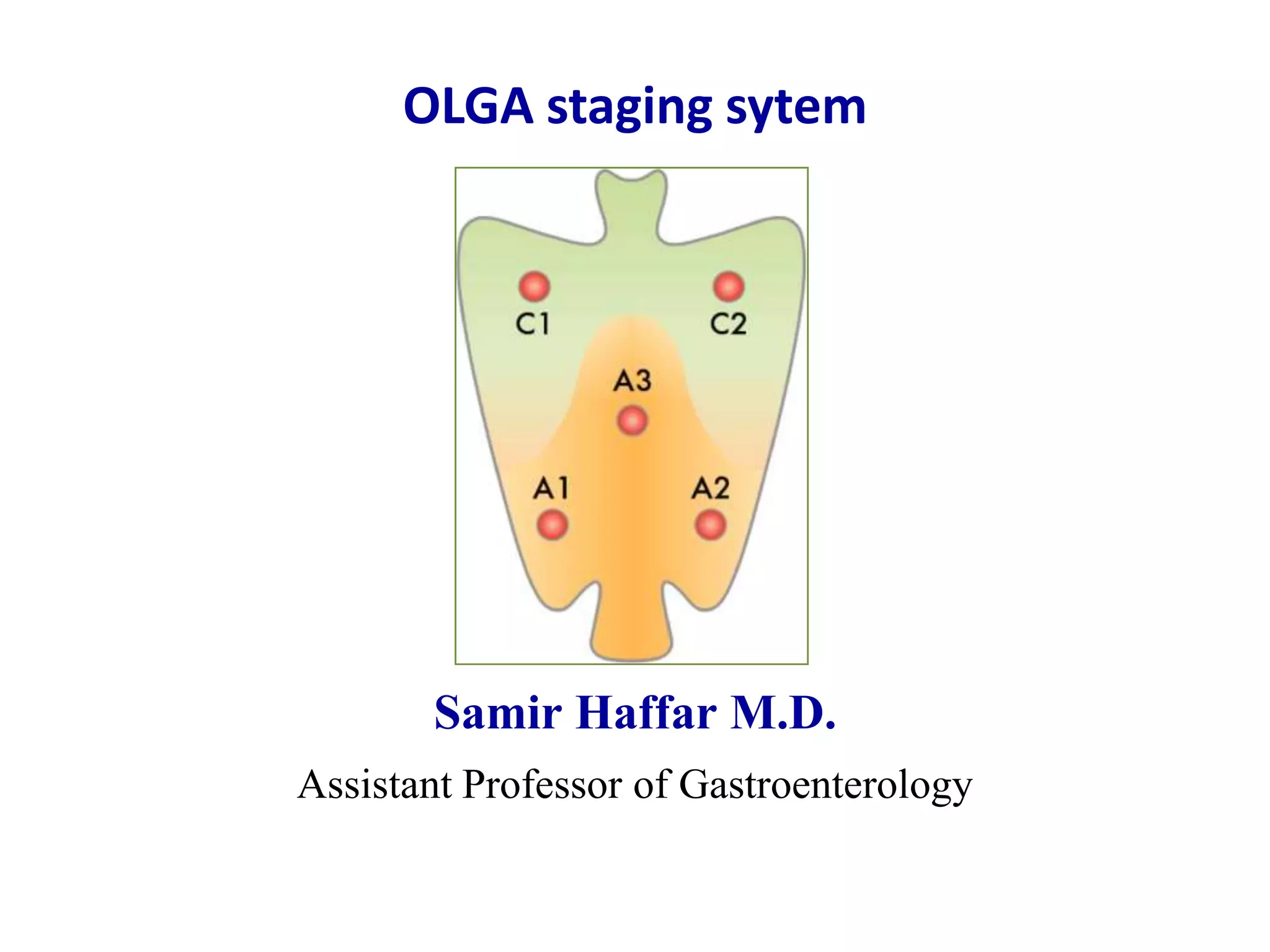 Olga staging system for diagnosis of gastritis | PPTX