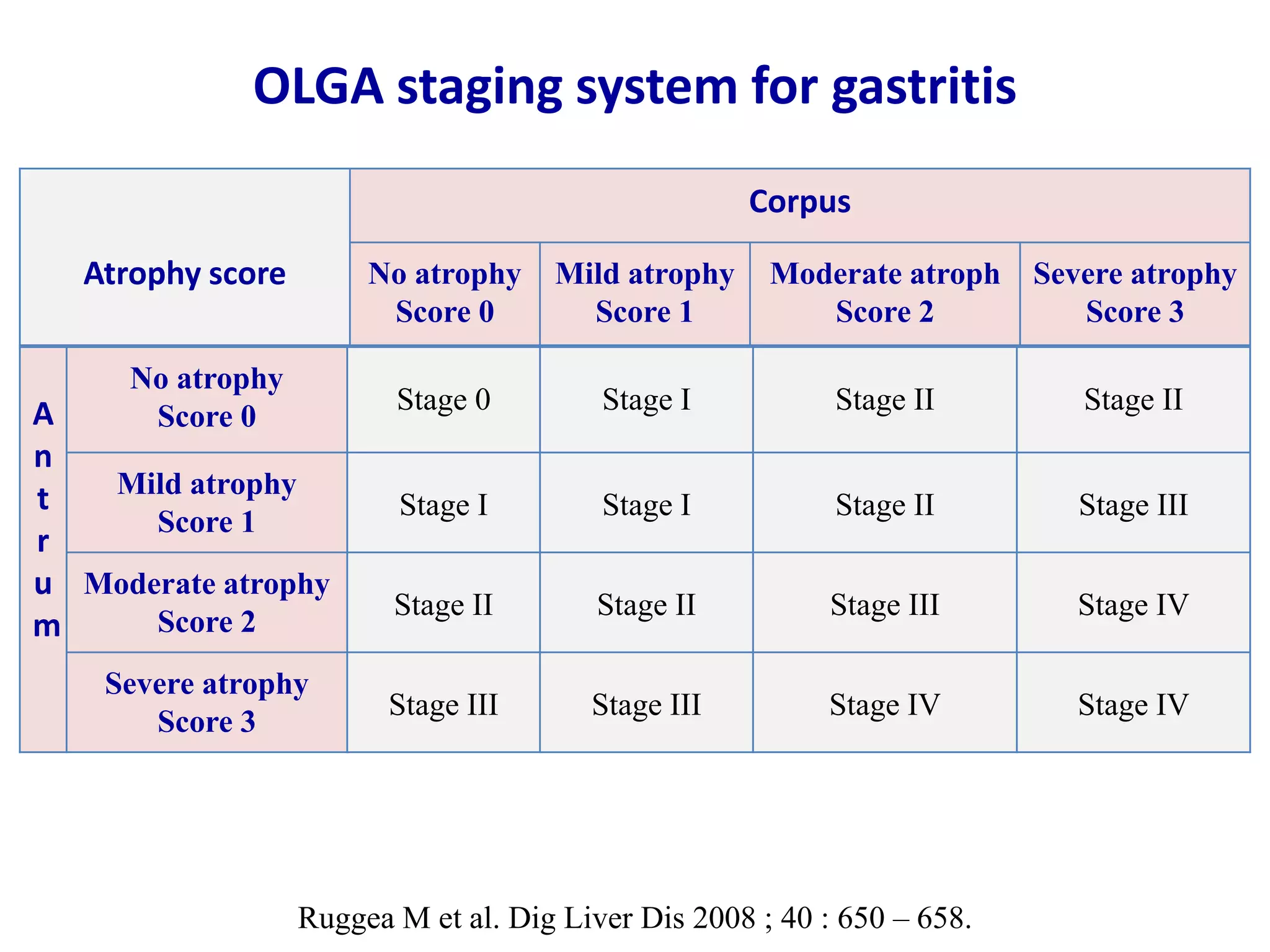 Olga staging system for diagnosis of gastritis | PPTX