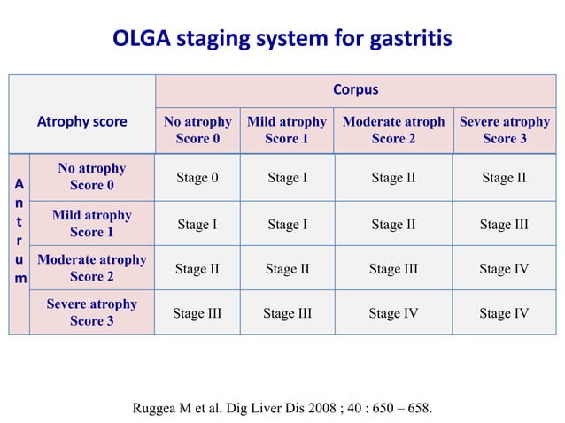 Olga staging system for diagnosis of gastritis | PPTX